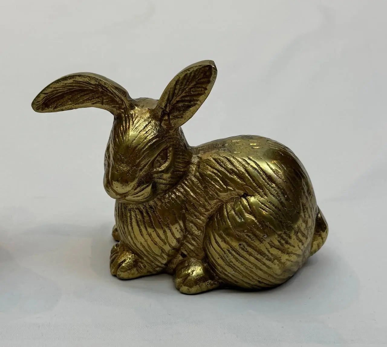 RABBIT DROOPY EAR