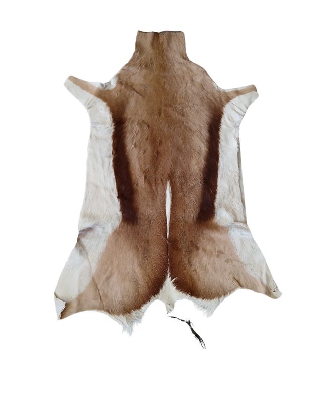Genuine Springbok Skin Rug